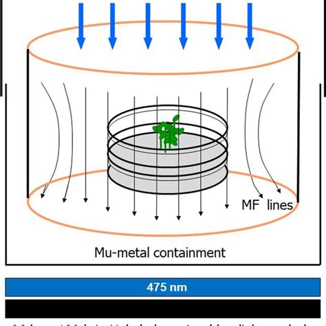 Experiments Done In A Faraday Lab 504 M × 204 M × 21 M Height And