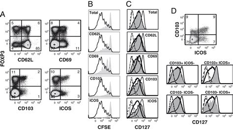 Increased Cd127 Expression On Activated Foxp3cd4 Regulatory T Cells