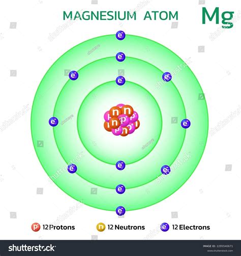 Magnesium Atomic Structureconsists 12 Protons 12 เวกเตอร์สต็อก ปลอดค่าลิขสิทธิ์ 2295540671