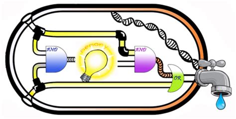 Logic Circuts ~ Tech Trill