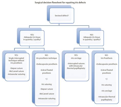 25 Pupilloplasty And Suturing Iris Defects Ento Key
