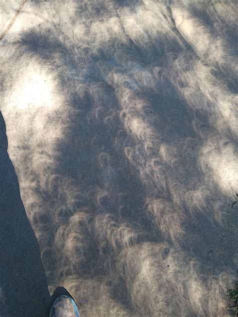 Eclipse Cresent Shadows By Glyphbellchime On Deviantart