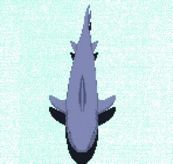 Shark Sprites Animated 4 Directional