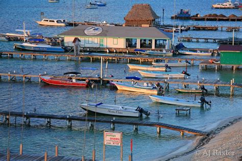 Aj Baxter Photography