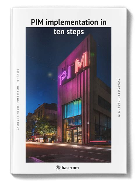 Successful Pim Implementation In Ten Steps Basecom