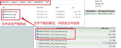 单细胞实战 1 数据下载 数据读取 seurat对象创建 seurat数据生成 csdn博客