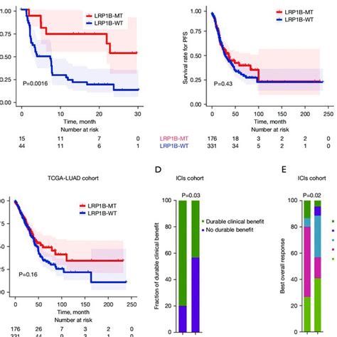 The Contrast Of The Frequently Mutated Gene And Clinical Data Between