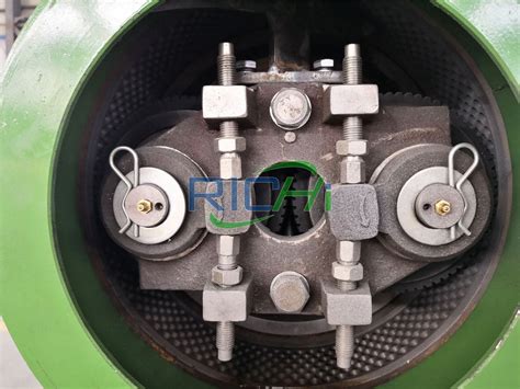 Small 1 2t H Compost Pellet Making Machine Richi Machinery