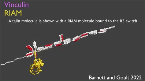 [video] ben goult on linkedin meshcode