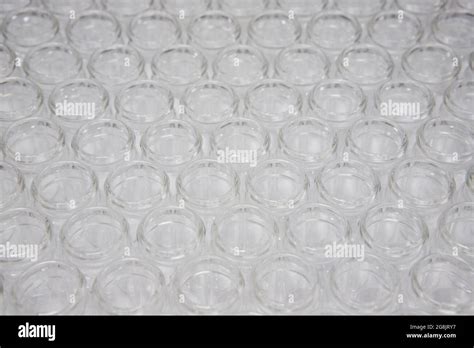 Empty Glass Vials In Rows Used For Vaccine Production And Packaging