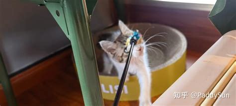 Rsa加密数学原理详解 知乎