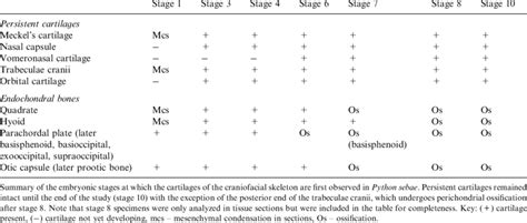 Endochondral Bones And Persistent Cartilages In The Craniofacial