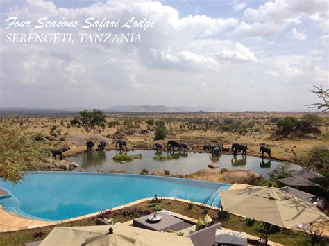Four Seasons Serengeti Safari Lodge Bxxm