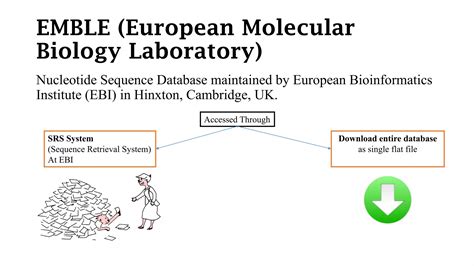 Genomic Databases Pdf