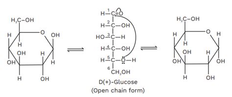 A Brief Summary On Glucose By Unacademy