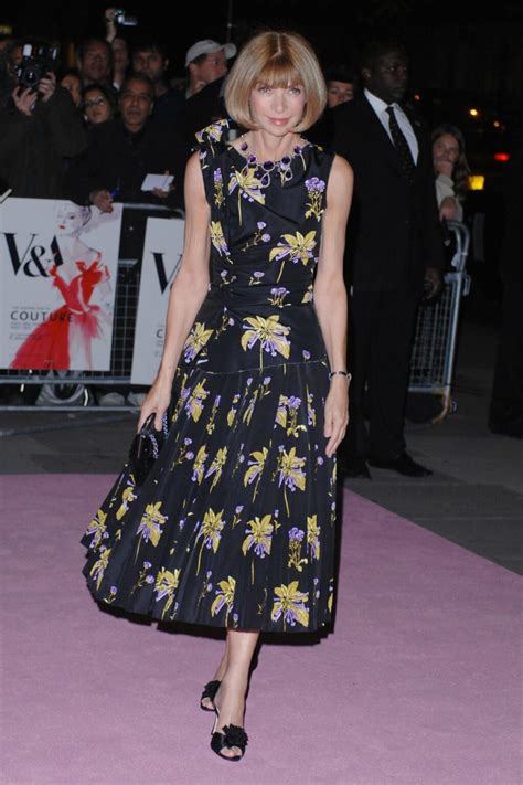 Did Anna Wintour Wear Queen Marys Amethysts At Buckingham Palace