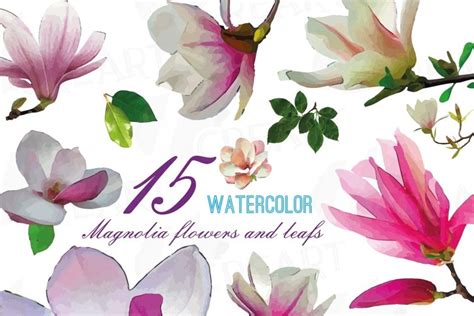 Watercolor Pink Magnolia Flower And Leaf Clip Art Pack