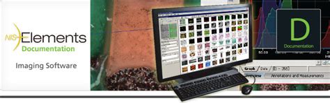 Nikon Nis Elements Documentation Morrell Instruments