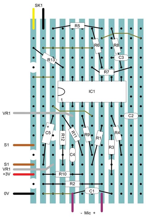Bats Use Echolocation To Navigate This Bat Detector Will Give You A