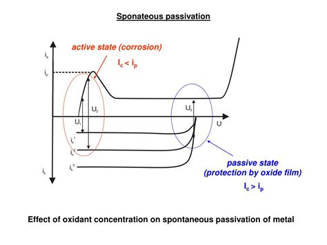 What Are Passive Metals At Lucille Swiney Blog
