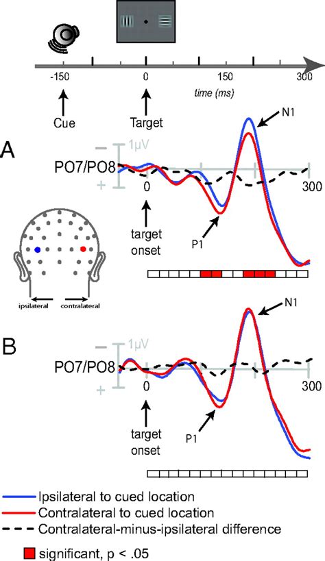 Cross Modal Cueing Of Attention Alters Appearance And Early Cortical Processing Of Visual