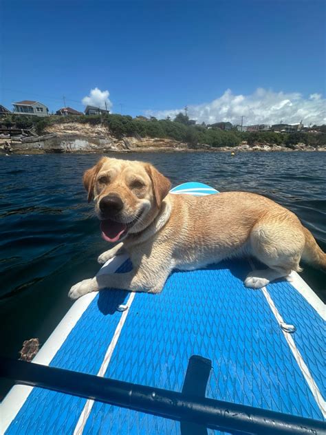 Josh Geller On Linkedin Its Friday Its My Birthday And A Scorcher