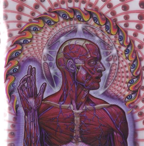 Into The Guitars Tool Lateralus