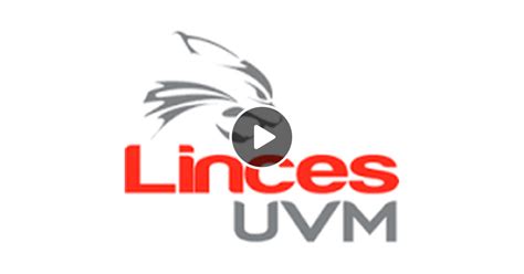 Seguridad Lince Uvm Lomas Verdes Seguridad En Las Calles By Radio