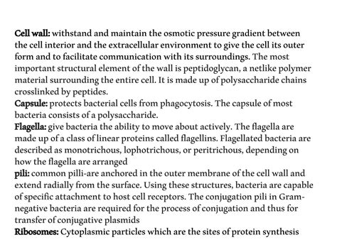 Solution Medical Microbiology Bacterial Classification Studypool