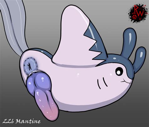 Rule 34 Animal Genitalia Animal Penis Anus Ass Batoid Big Anus Big