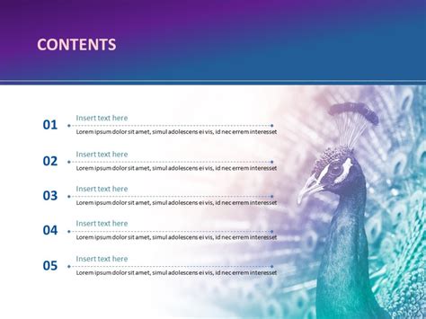 Free Presentation Template Peacock