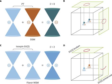 Chiral Dirac Like Fermion In Spin Orbit Free Antiferromagnetic Semimetals The Innovation