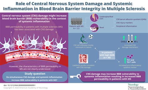 Video Summaries And Infographics Neurology Neuroimmunology
