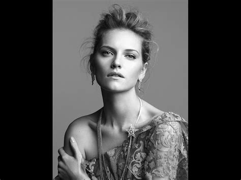 Anthony Meyer Photography