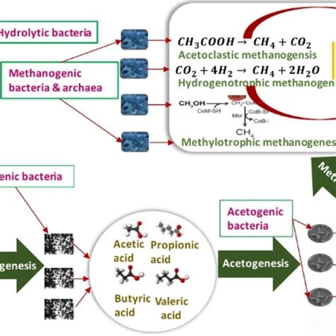 Plug Flow Reactor Design For Biogas Production Ramaswamy And Siddareddy