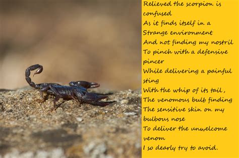 The Scorpion And The Shot Glass A Free Verse Poem On Self Dare Or By James G Brennan
