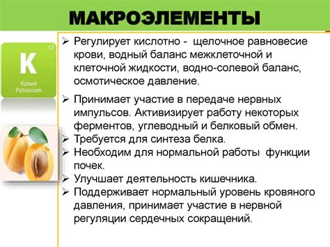 Витамины и минералы - презентация онлайн