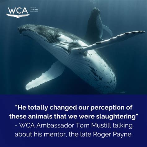 Harry Eckman Posted On Linkedin