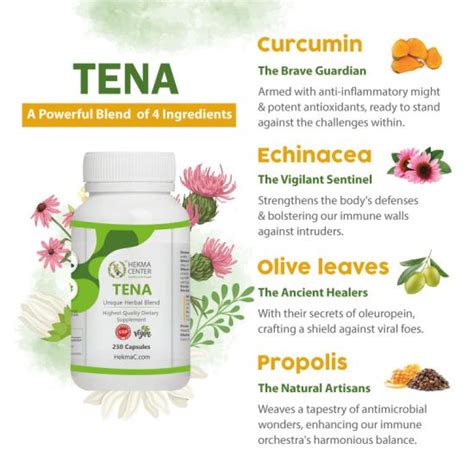 Herpes Care Bundle Heva Package Organic Supplements For Herpes