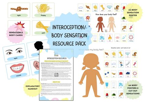 Interoception Bundle Build Body Awareness And Emotion Regulation