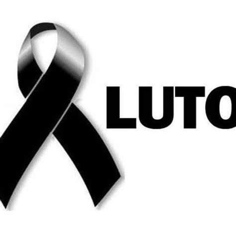 ¡un Saludo A Mis Nuevos Seguidores ¡estoy Feliz De Que Me Sigan Luis