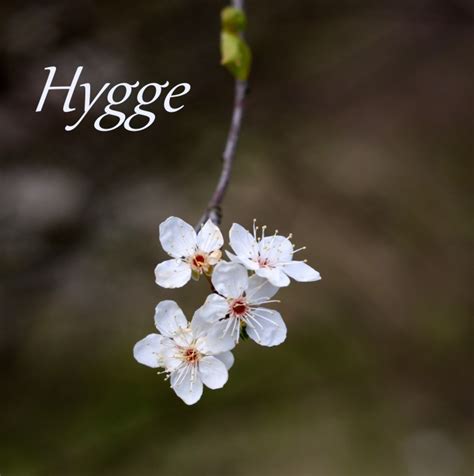 Définition de "Hygge" et des termes dérivés - Vivre le Hygge