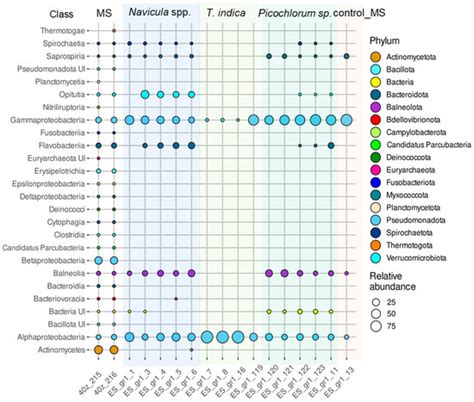 The Cultivation Of Halophilic Microalgae Shapes The Structure Of Their Prokaryotic Assemblages