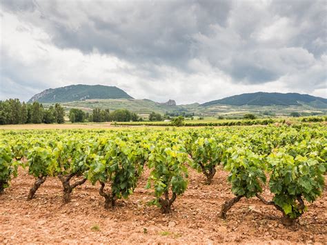 Discover La Rioja Wines Its Charming Villages And Cultural Traditions