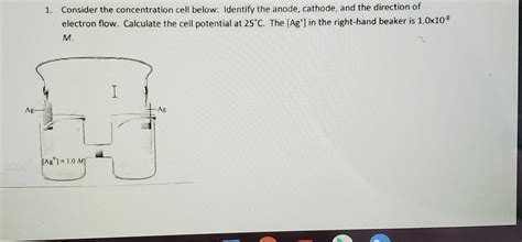Answered 1 Consider The Concentration Cell… Bartleby