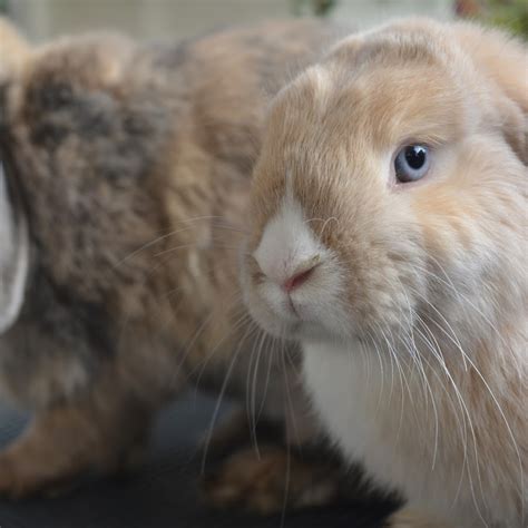 The Trace Of Grace Youtube