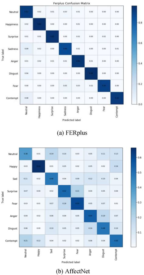Confusion Matrices Of Lsgb On The Test Set Of Ferplus A And The Test Download Scientific