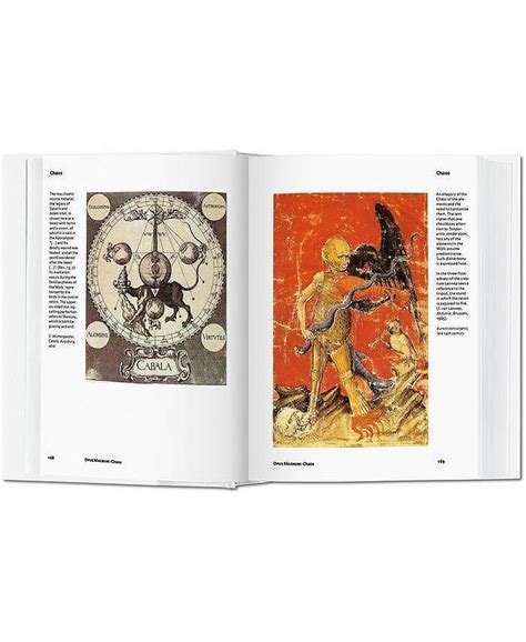 Barnes And Noble Alchemy And Mysticism By Alexander Roob Macys