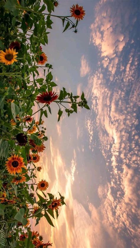 Pin By Tani On Pins By You Pretty Landscapes Nature Photography Sky