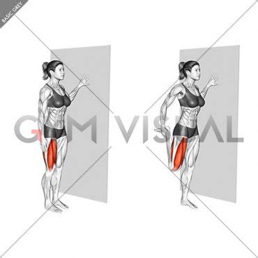 Standing Quadriceps Stretch